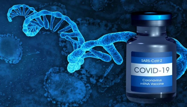 ΤΟ ΑΛΟΓΟ: Στη Φύση, τον Μύθο, την Τέχνη – Πύλη Ιάσωνος και Ρέας